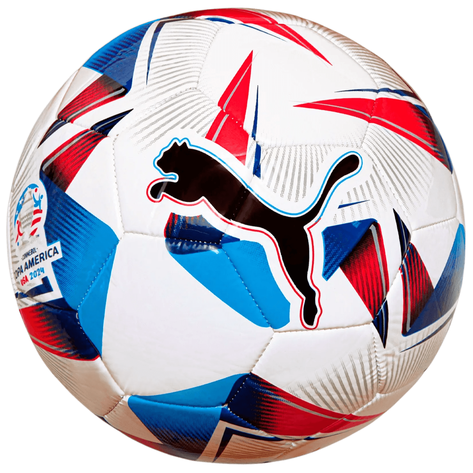 Puma 2024-25 Cumbre Conmebol Copa America MS Soccer Ball – ProSoccer